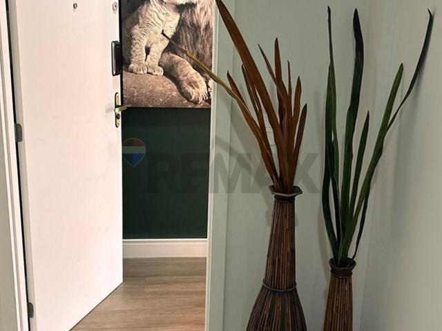 60 Área Útil Apartamento Alugar, 2 Dormitórios localizado em Nova Brasília, Jaraguá do Sul, Santa Catarina, 89252170 | Brasil