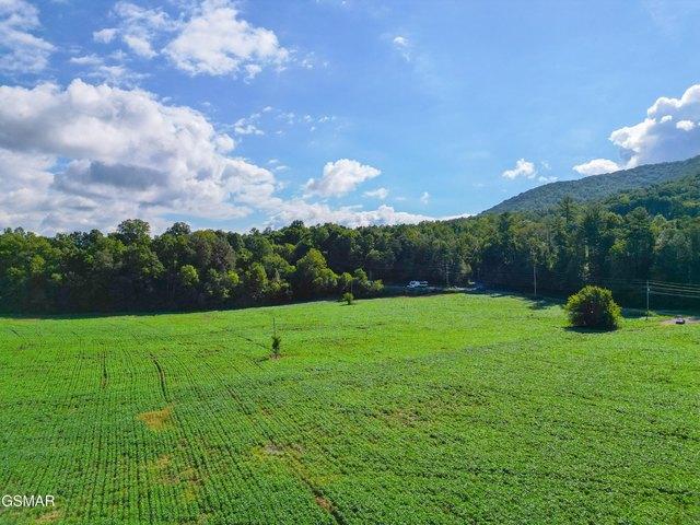 60 Cosby Hwy, Cosby, TN 37722
