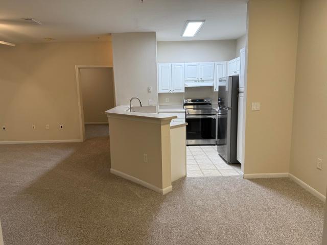 60 Fenwick Hall Alley Unit 226