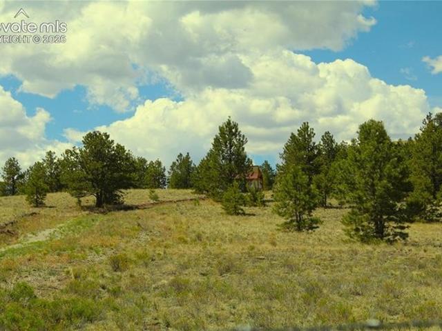 60 Hill Rd, Hartsel, CO 80449