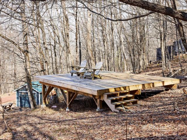 60 Mountain Terrace Rd, Parksville, NY 12768 | MLS #975073
