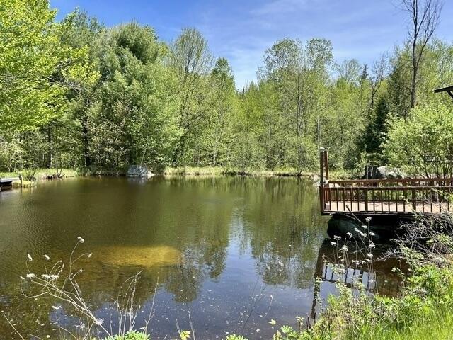 60 Mt Blue Pond Rd, Avon, ME 04966