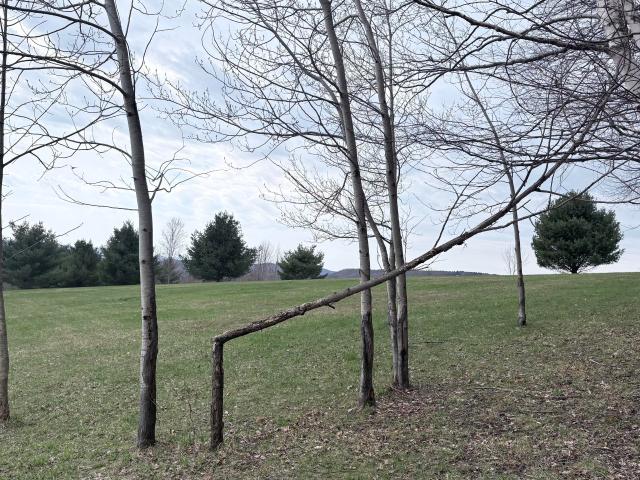 60 Nora Way, Stephentown, NY 12168 | MLS #202615 | Compass