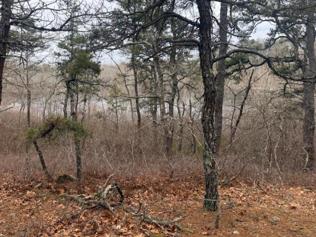 60 Perch Pond Way, Wellfleet, MA 02667 | MLS #22601 | Compass