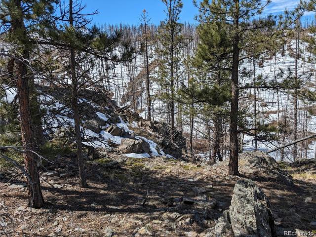 60 Powder Horn Trail, Bellvue, CO 80512 | MLS #7558