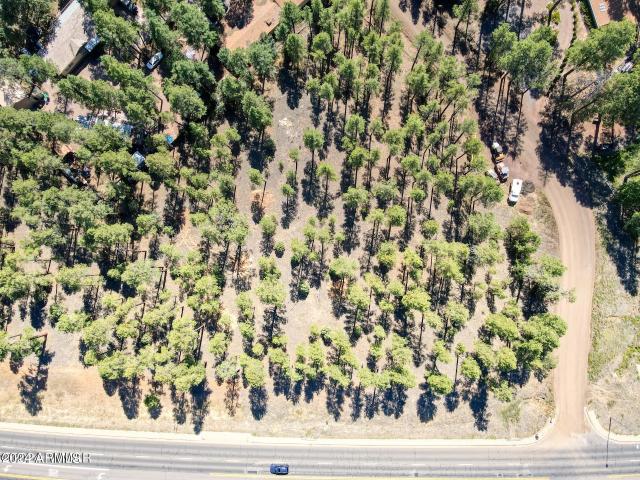 60 S Clark Rd, Show Low, AZ 85901 | MLS #6760