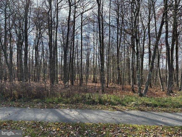60 Sundance Way, McHenry, MD 21541