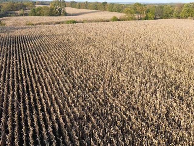 60A Silver Trl, Floris, IA 52560