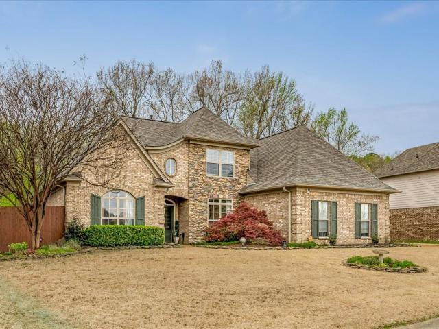 6105 frances wood dr