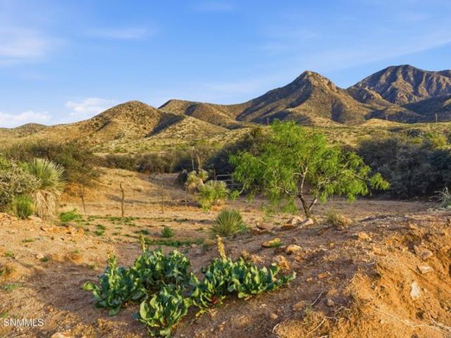 6100, Las Cruces, NM 88011
