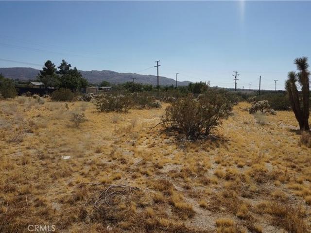 6101 Scenic Dr, Joshua Tree, CA 92252