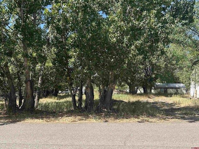 610 Grape St, Nucla, CO 81424