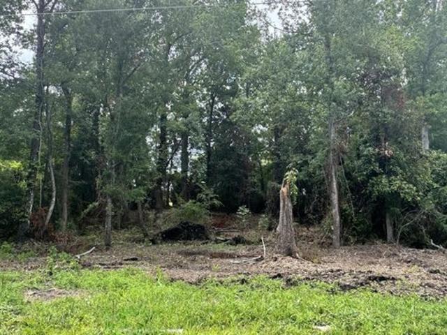 610 Dogwood Ln, Wilmington, NC 28409