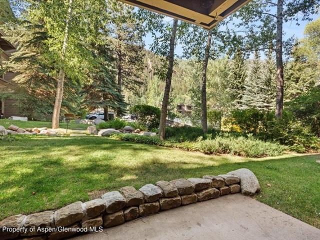 610 S West End St Unit D105, Aspen, CO 81611