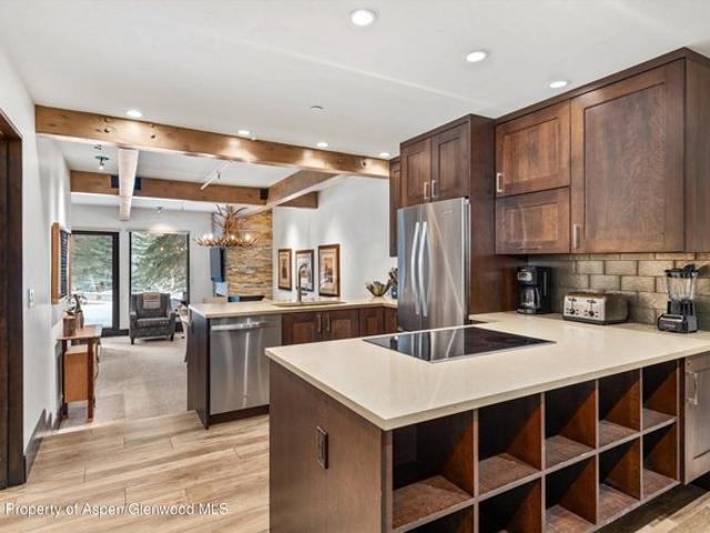 610 S West End St Unit E103, Aspen, CO 81611