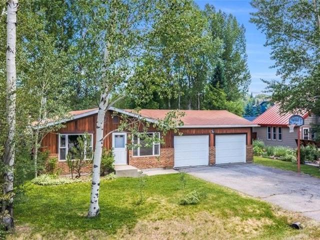 610 Pamela Ln, Steamboat Springs, CO 80487