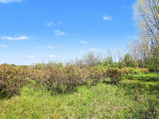 61199 County Road 380
