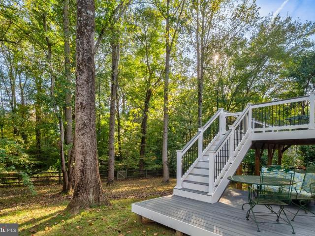 6111 Dry Leaf Path