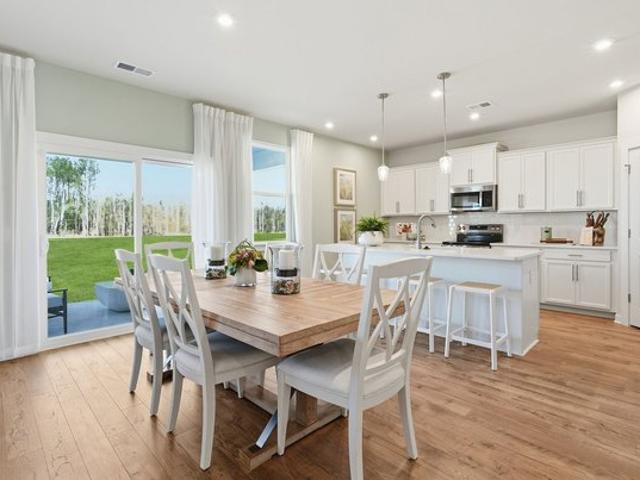 611 Griffon Dr, Chapin, SC 29036