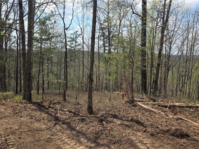 611 Pack Rd NE, Ranger, GA 30734 | MLS #7733