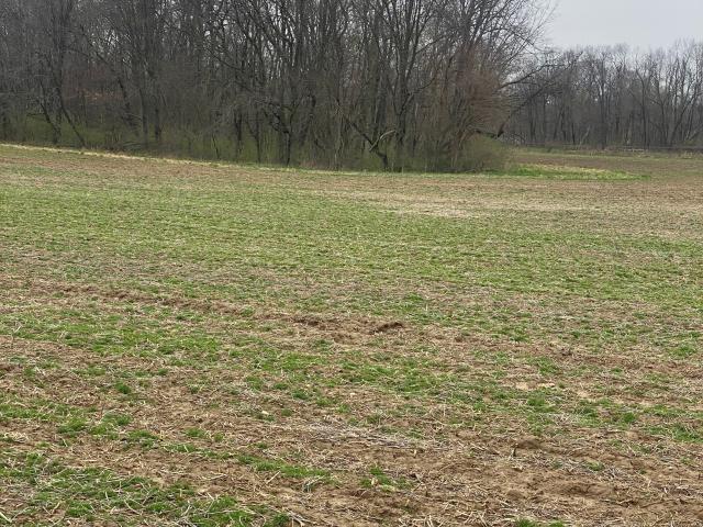 6125 State Road 236