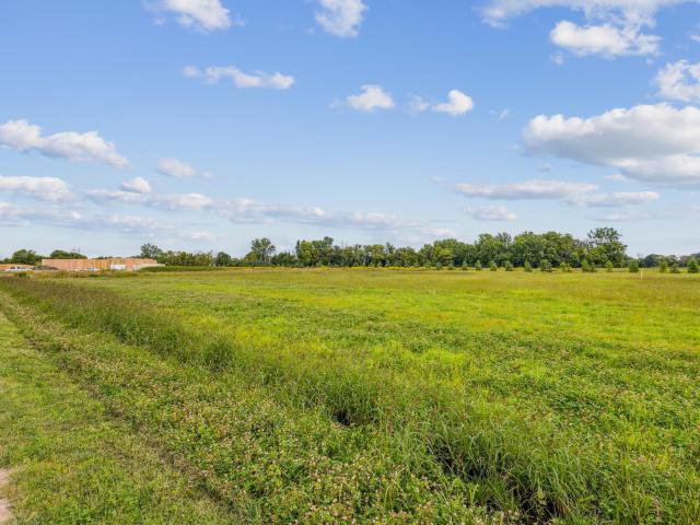 6126 Gustavus Dr, Independence, MN 55359 | MLS #6779