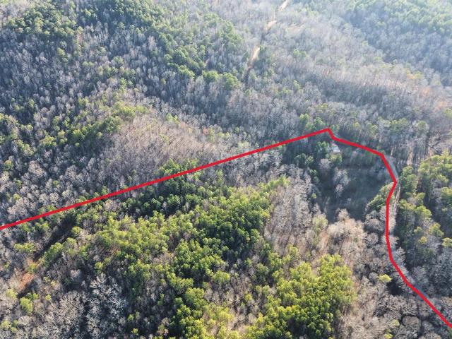 612 Coosa County Road 117 # 1