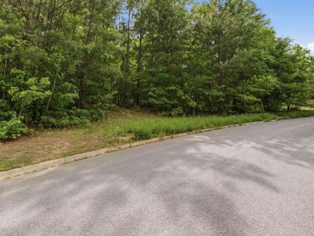 612 Winding Hickory Court