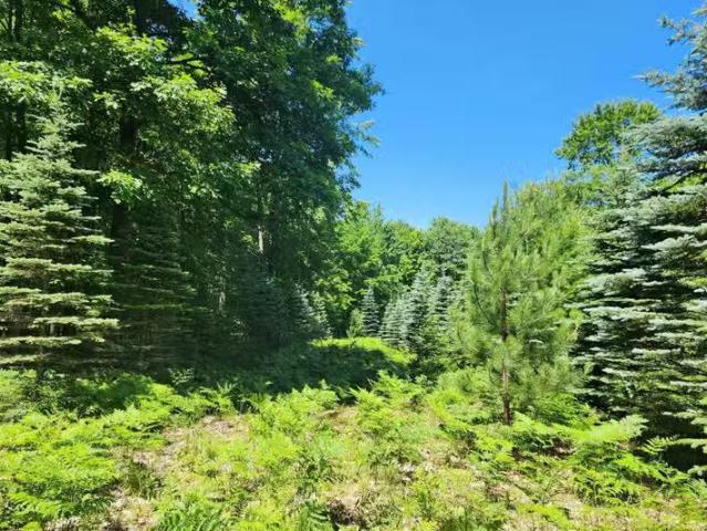 6135 FAWN LAKE DR, CANADIAN LAKES, MI 49346 Vacant Land For Sa.