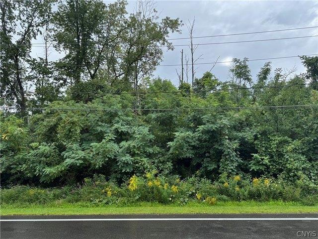 6136 Cobblestone Dr, Cicero, NY 13039