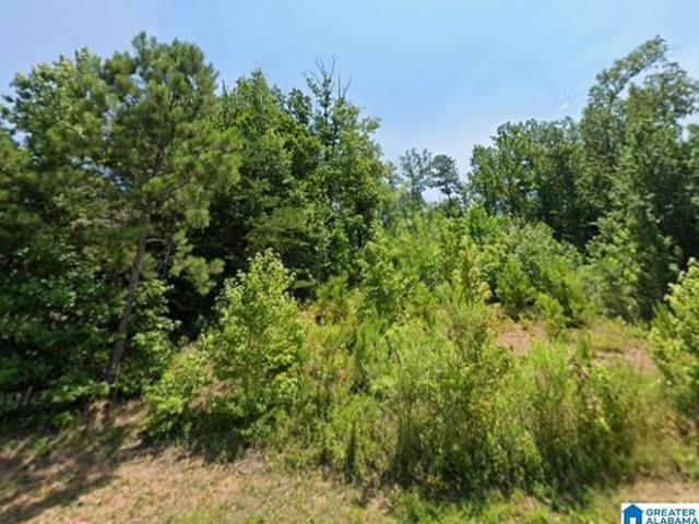 6130 Eagle Point Cir Lot 803, Birmingham, AL 35242