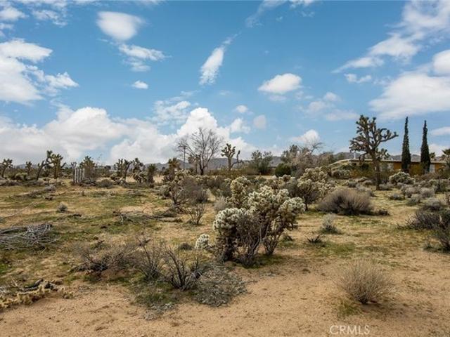 61329 Rocky Vista St, Joshua Tree, CA 92252