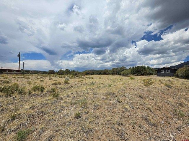 613 Comanche Peak Rd, South Fork, CO 81154