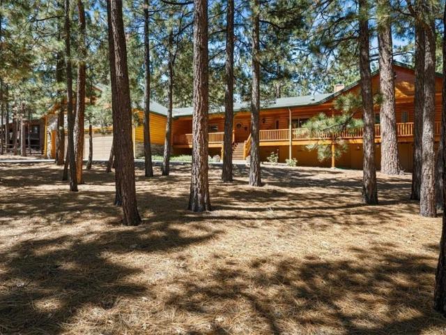 613 Cedar Glen Drive