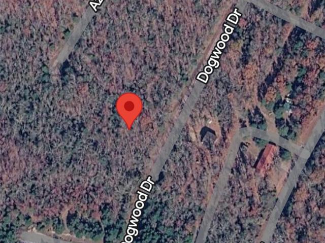 613 Dogwood Drive