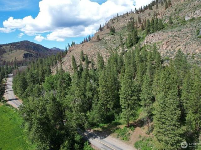 613 E Chewuch Rd, Winthrop, WA 98862