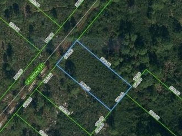 613 Lauderdale St, Lake Placid, FL 33852