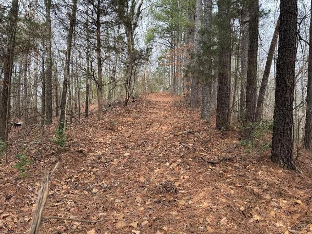 613 Williams Grove Rd