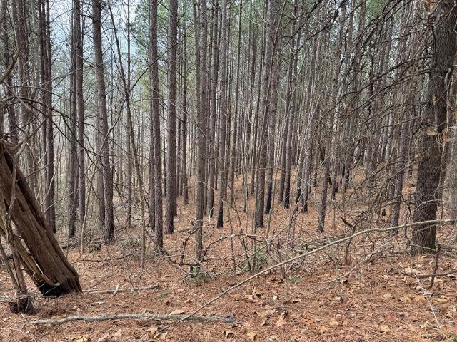 613 Williams Grove Rd, Camden, TN 38320 | MLS #3133