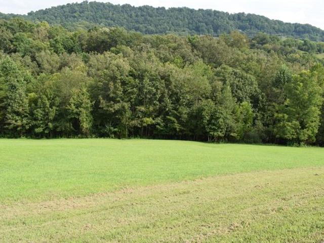 613 Tomahawk Dr, Kingsport, TN 37664