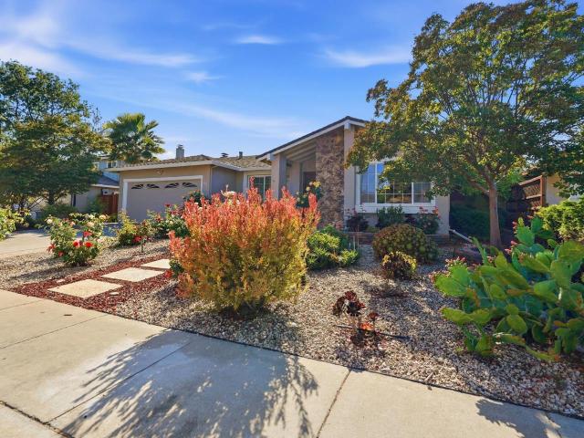 6141 Royal Acorn Place