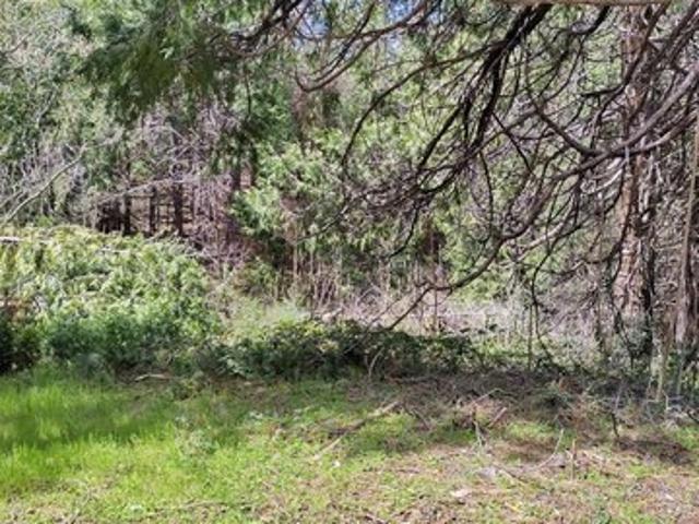 6141 State Highway 193, Georgetown, CA 95634