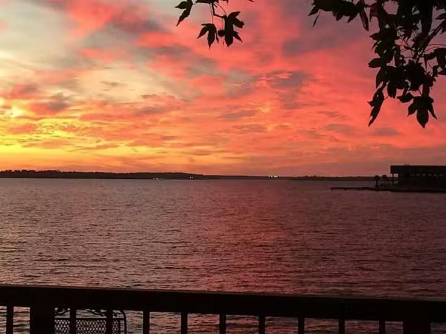 61426835 10725 Joann St