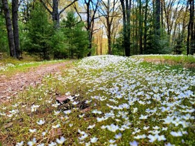 614 Graystones Jeras Rd Lot H14, Albrightsville, PA 18210