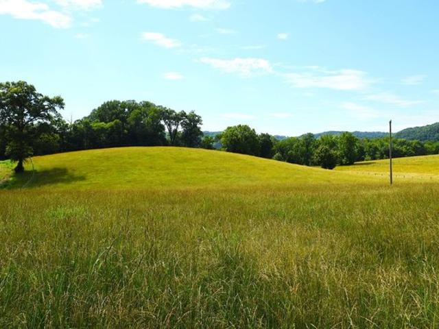 6155 Irish Bottom Tract Rd Lot 5, Burkesville, KY 42717