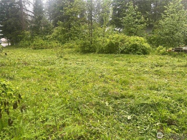 6159 Hawthorne Pl, Maple Falls, WA 98266