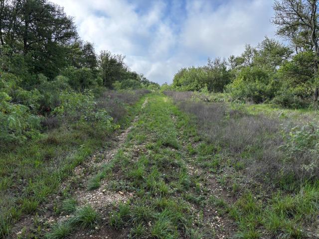 615 County Road 467