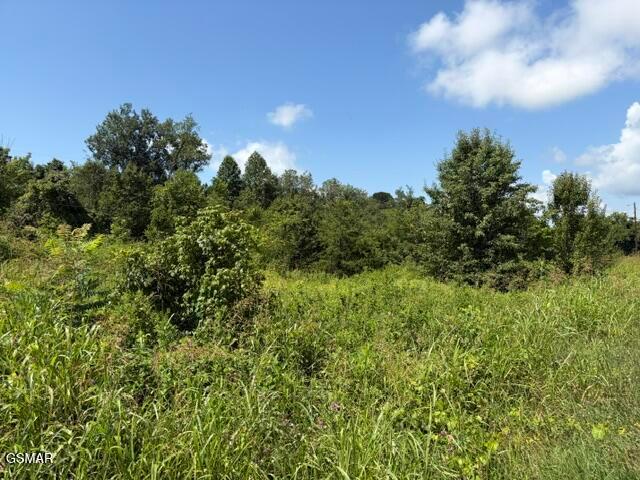 615 Green Hill Road