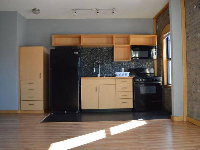 615 Studio Apartment for Rent at 615 E 16th St, Minneapolis, MN 55404 Elliot Park