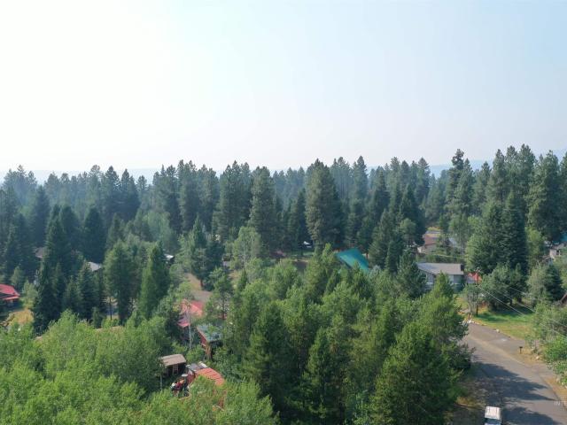 615 Syringa